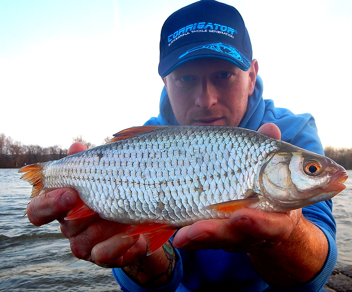 XXL-Friedfische im Winter und Frühling - eat, sleep, go fishing